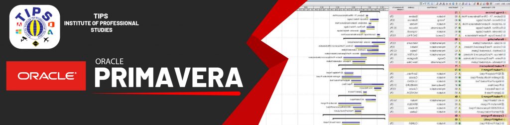 Primavera P6 - TwinCity Institute